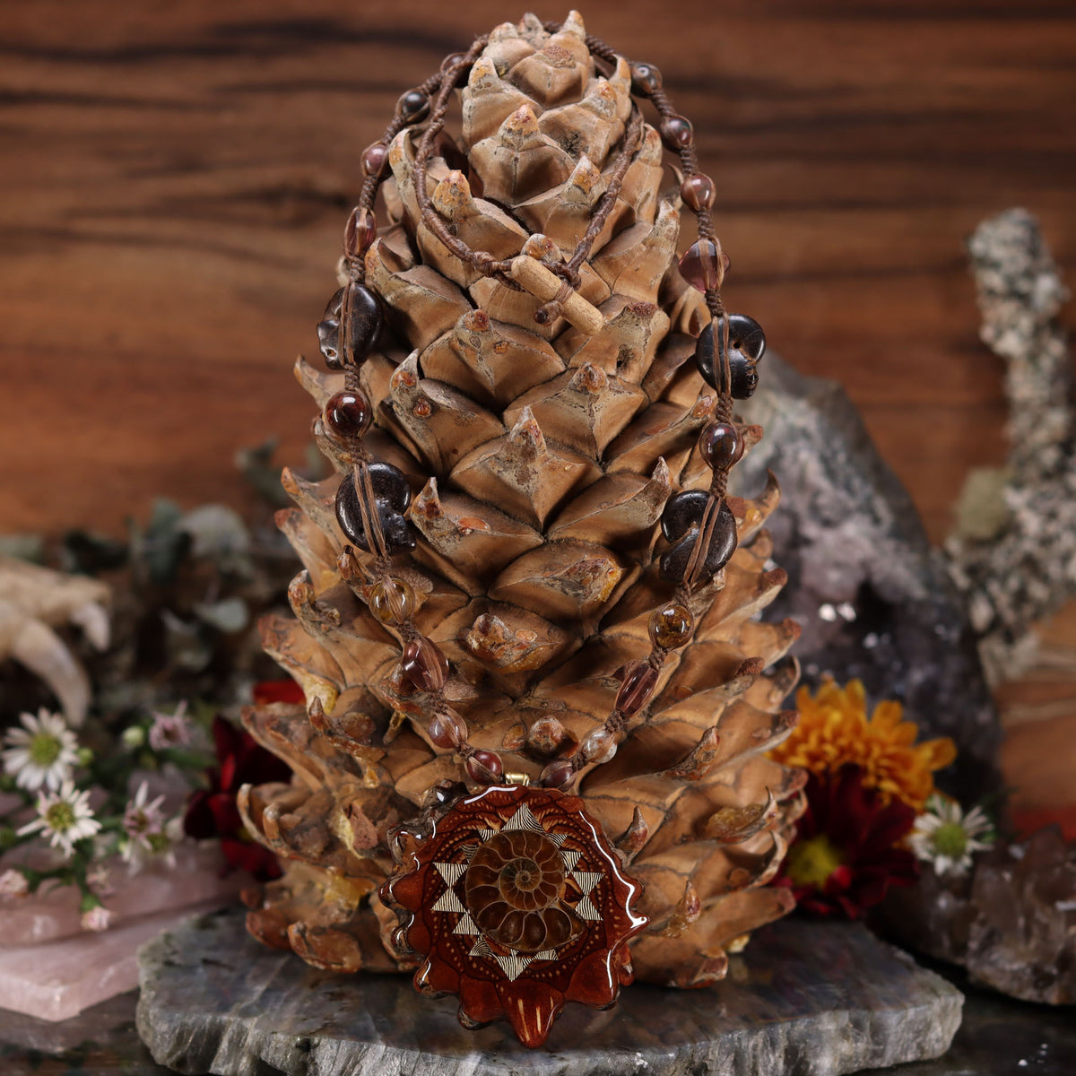 Inlaid Ammonite with Gold Sri Yantra Baby Sinew – Third Eye Pinecones