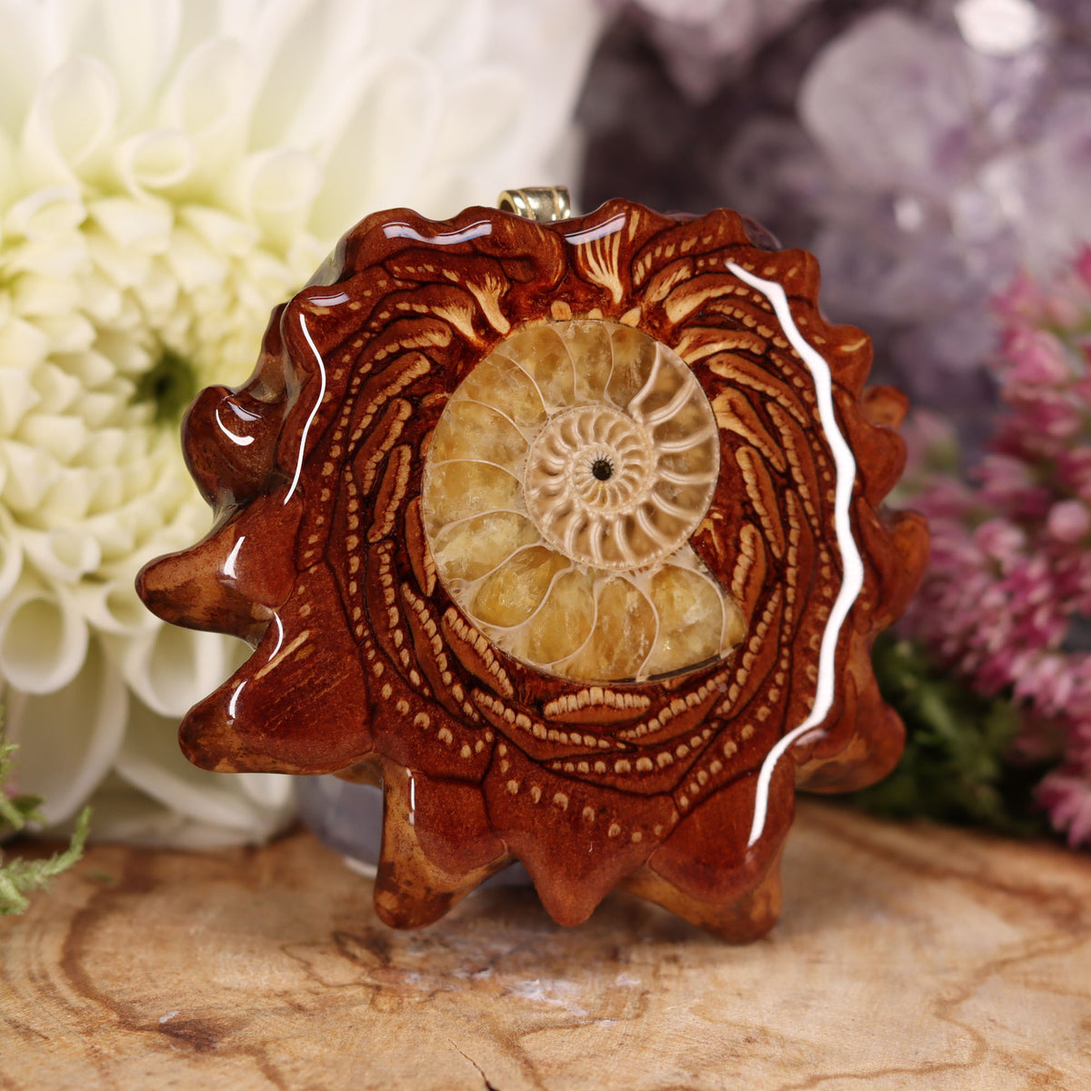 Ammonite – Third Eye Pinecones