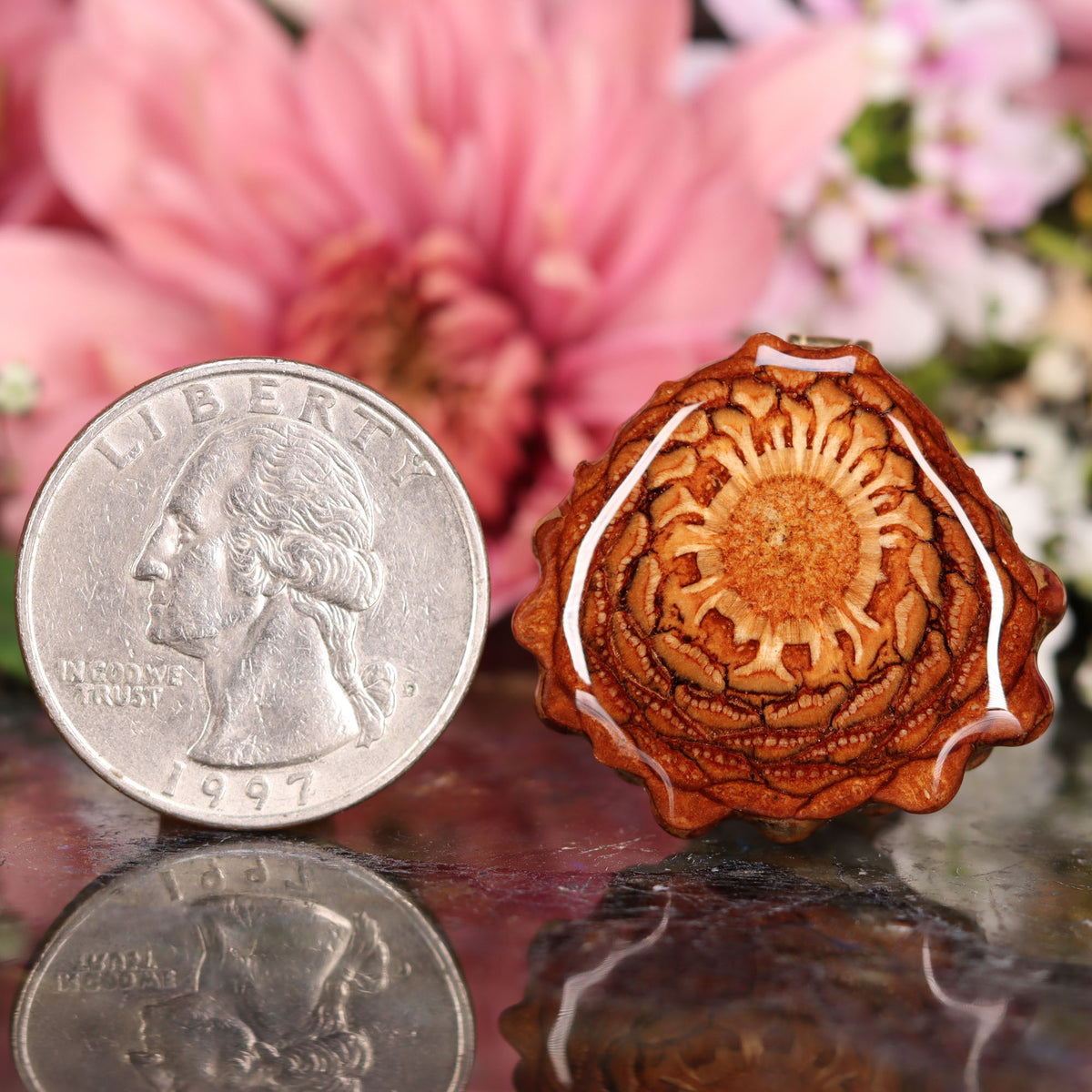 Natural – Third Eye Pinecones