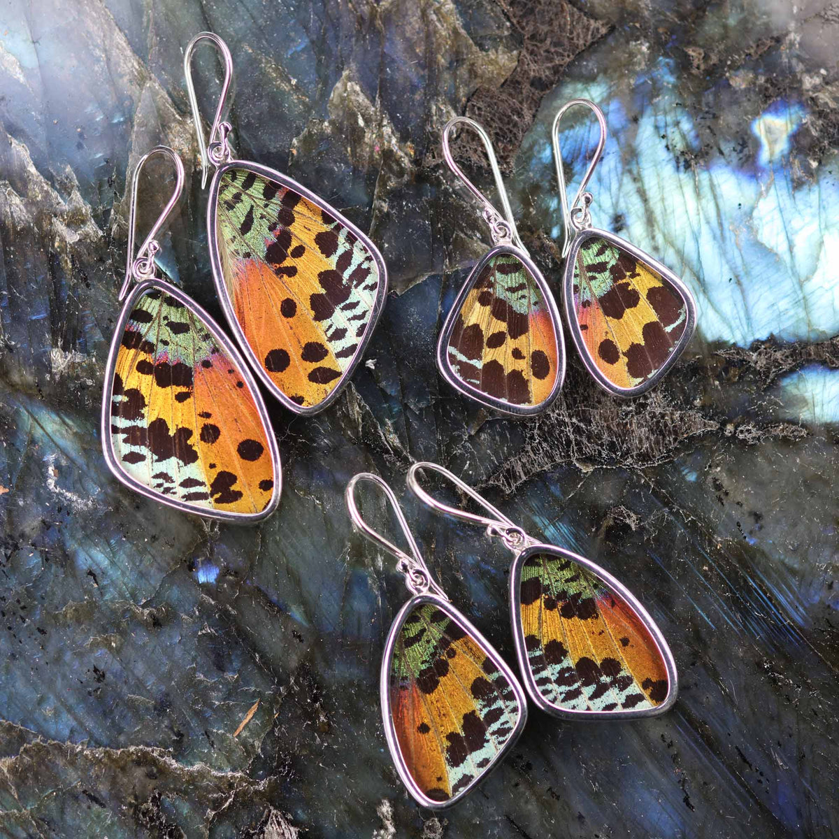 Sunset Moth Butterfly Wing Earrings Third Eye Pinecones