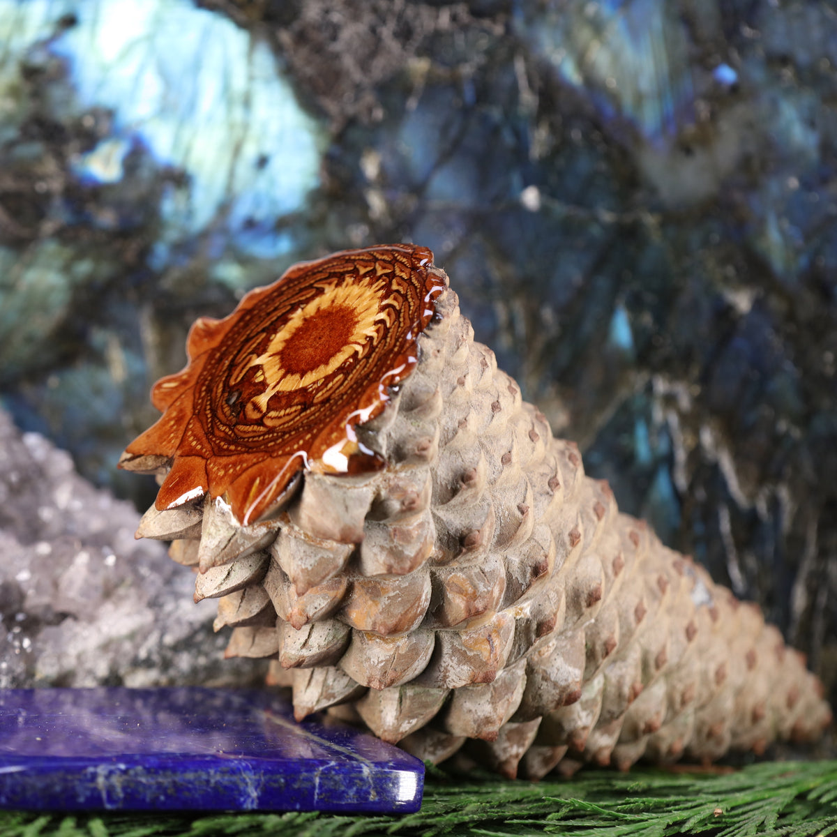 Altar Piece – Third Eye Pinecones