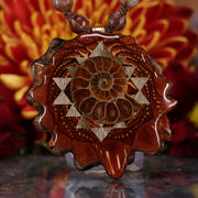 Shop All Pendants – Tagged "ammonite"– Third Eye Pinecones
