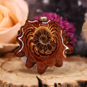 Shop All Pendants – Tagged "ammonite"– Third Eye Pinecones