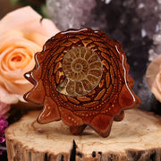 Shop All Pendants – Tagged "ammonite"– Third Eye Pinecones
