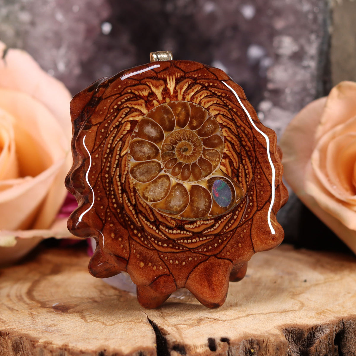 Opal-Inlaid Ammonite – Third Eye Pinecones