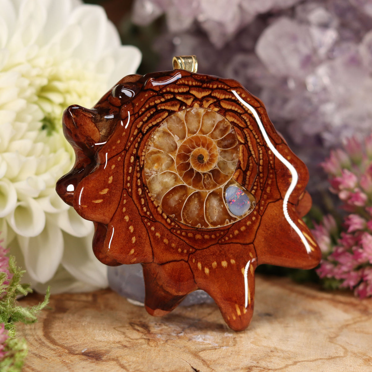 Opal-Inlaid Ammonite – Third Eye Pinecones