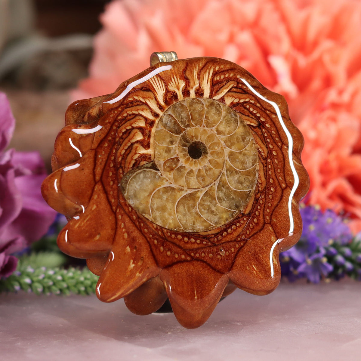 Ammonite – Third Eye Pinecones
