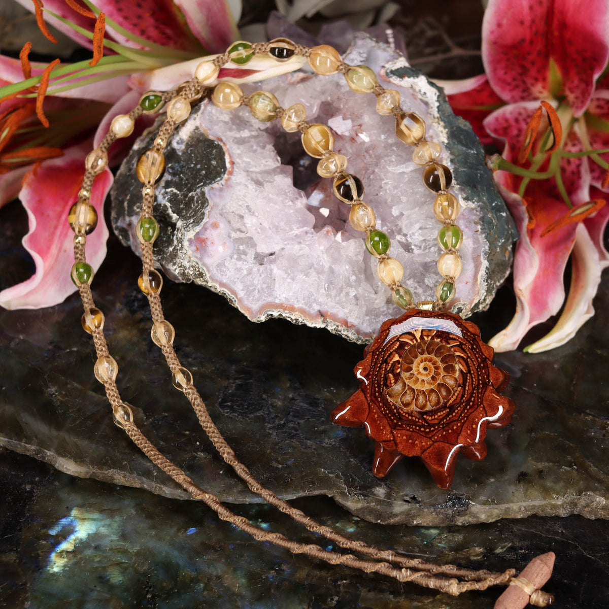 Ammonite Baby Sinew – Third Eye Pinecones