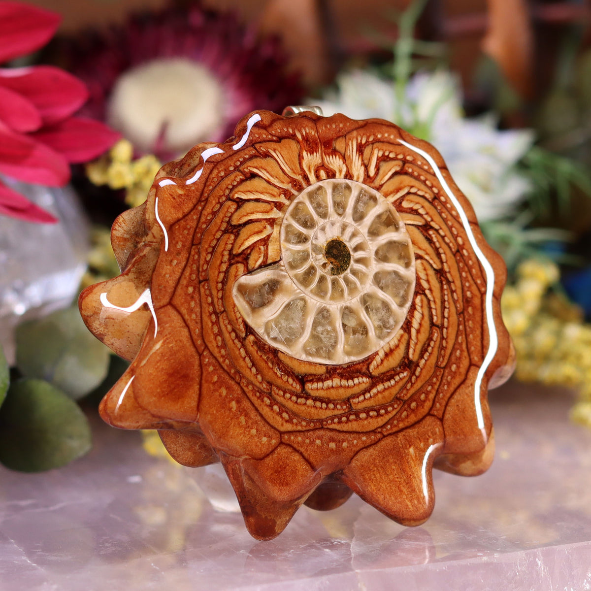 Ammonite – Third Eye Pinecones