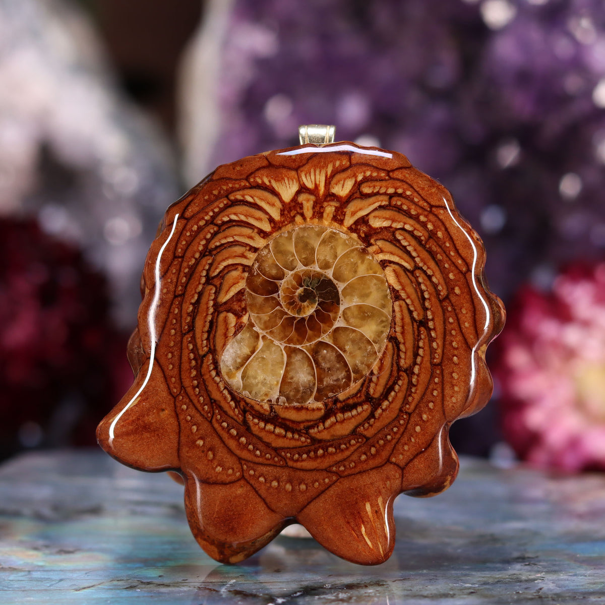 Ammonite – Third Eye Pinecones