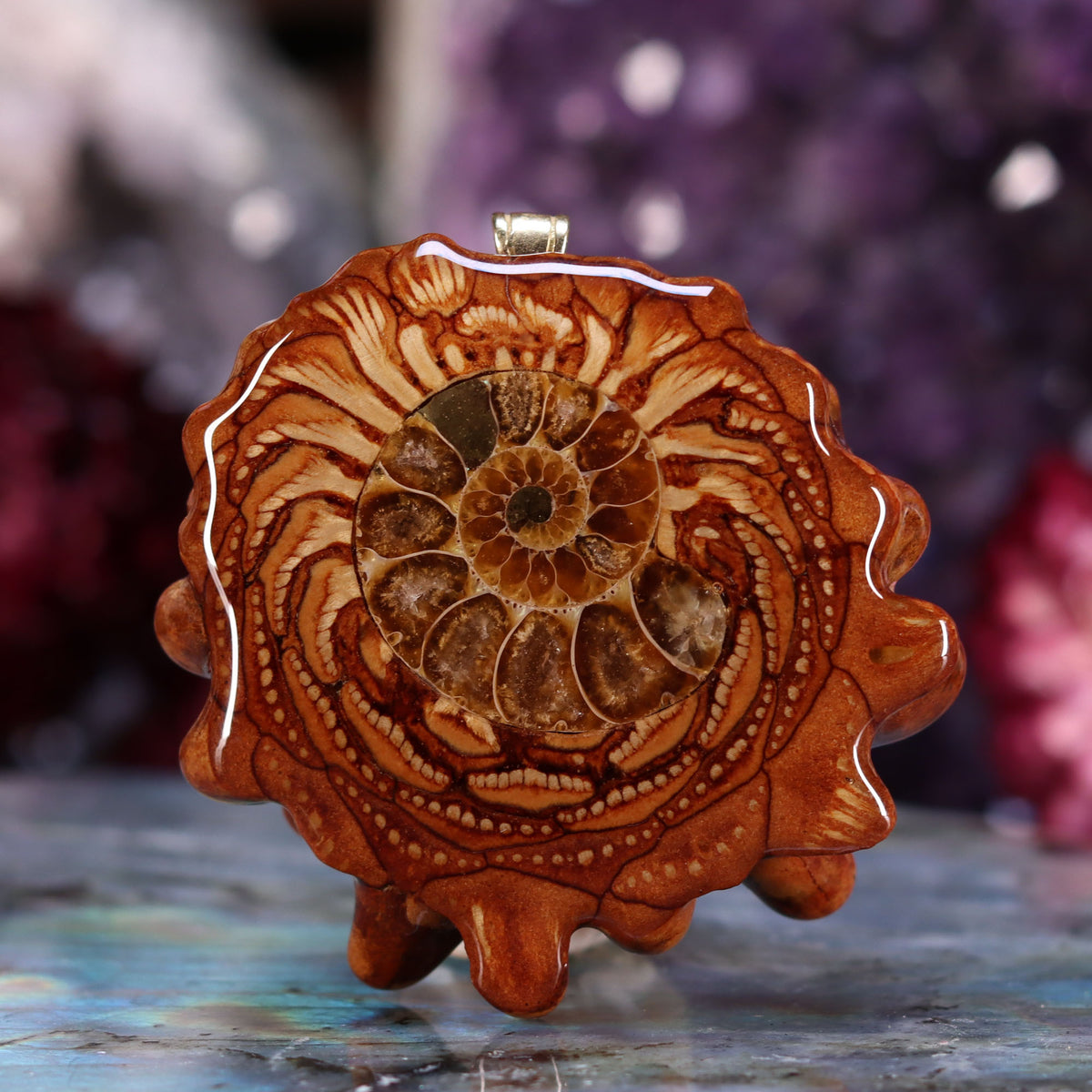 Ammonite – Third Eye Pinecones