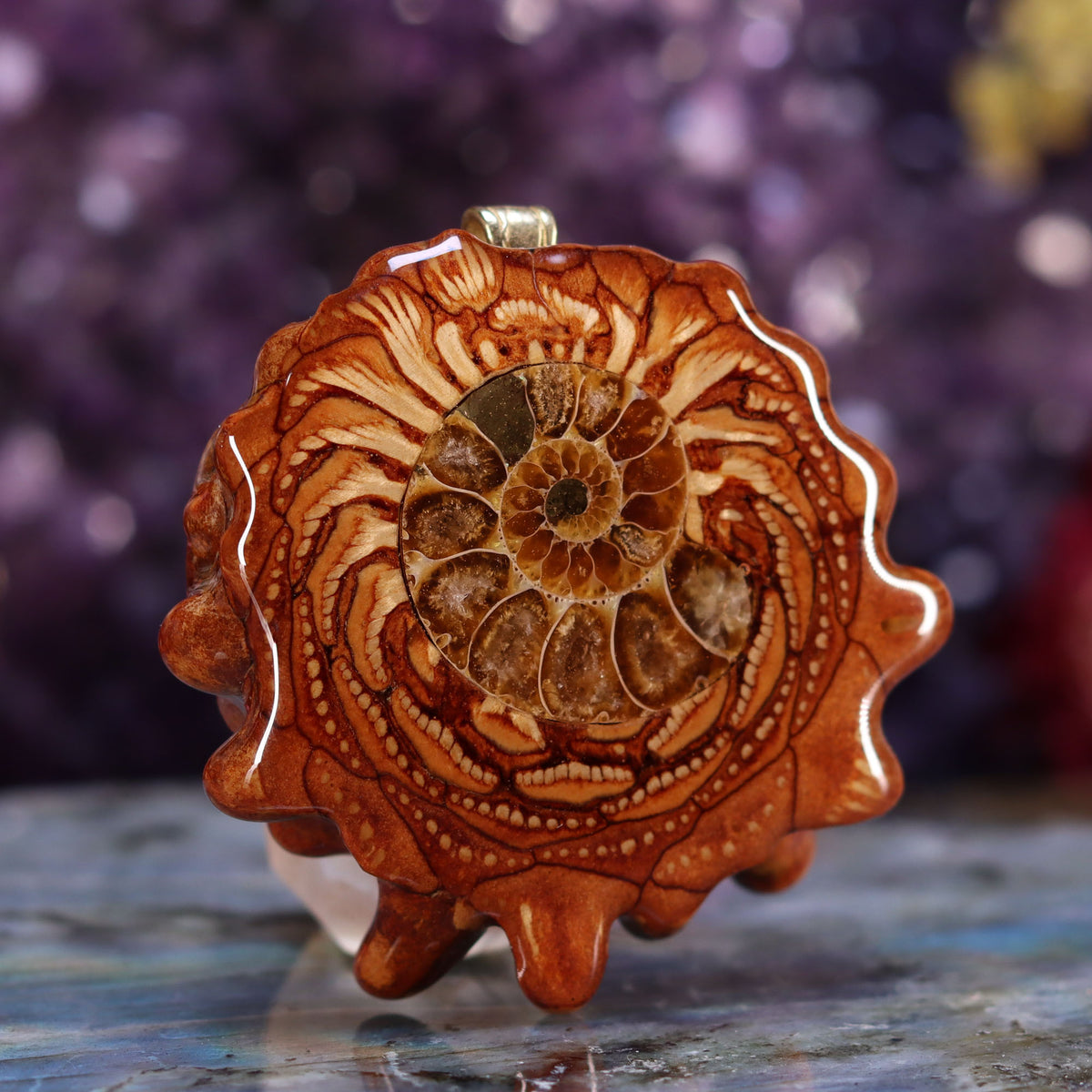 Ammonite – Third Eye Pinecones