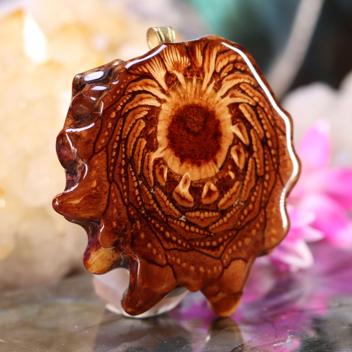 Natural – Third Eye Pinecones