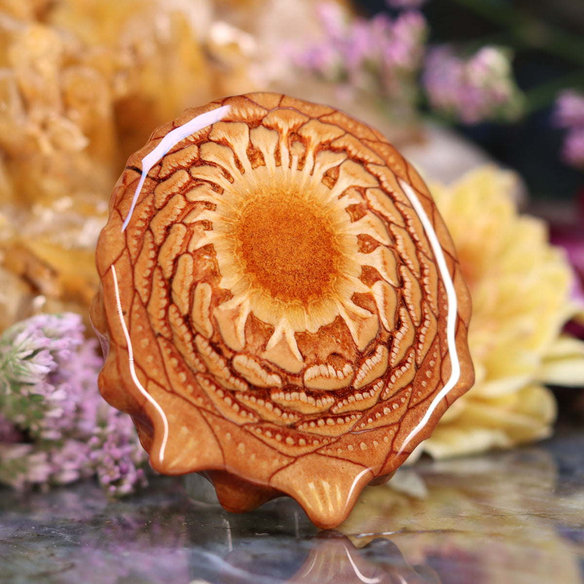 Natural – Third Eye Pinecones
