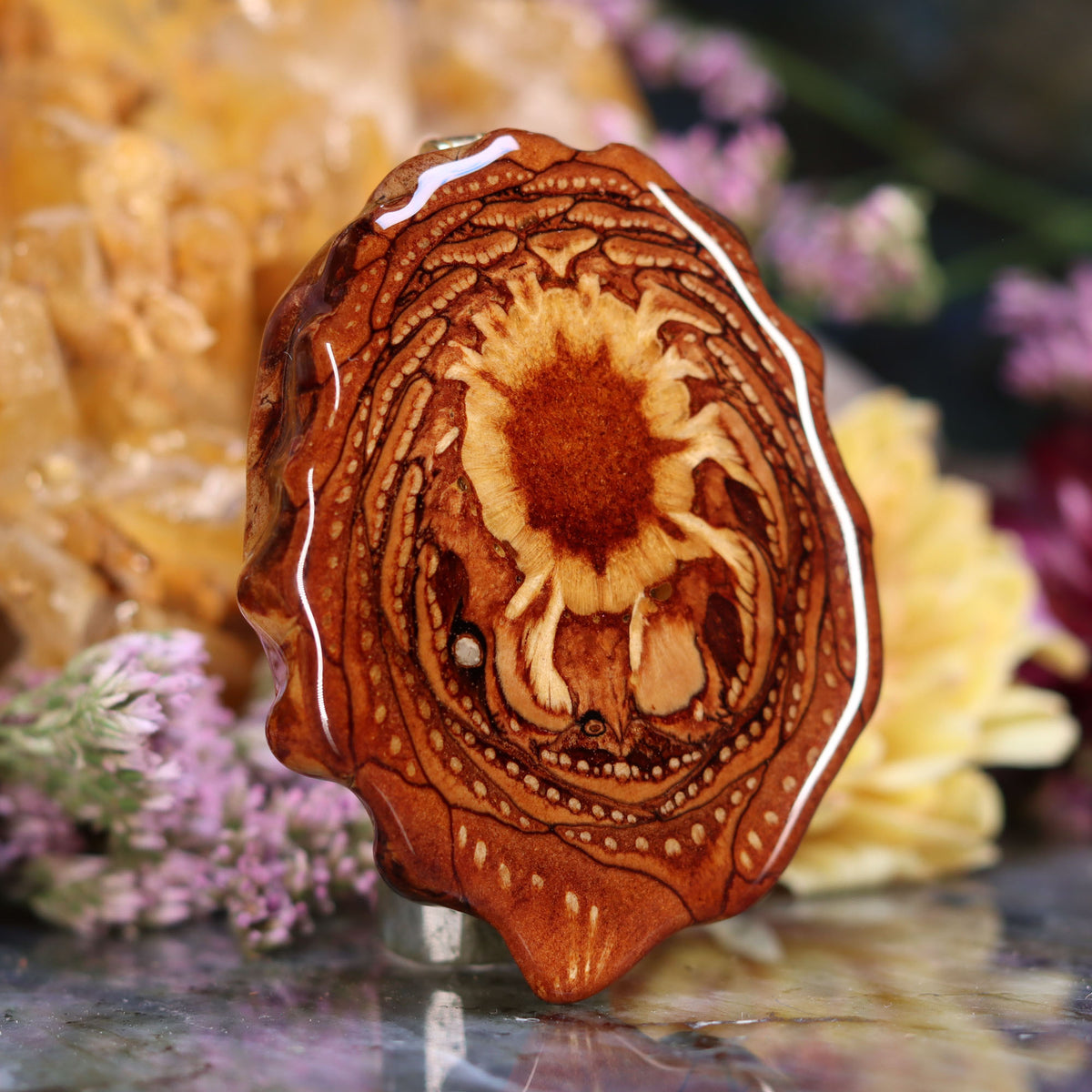 Natural – Third Eye Pinecones