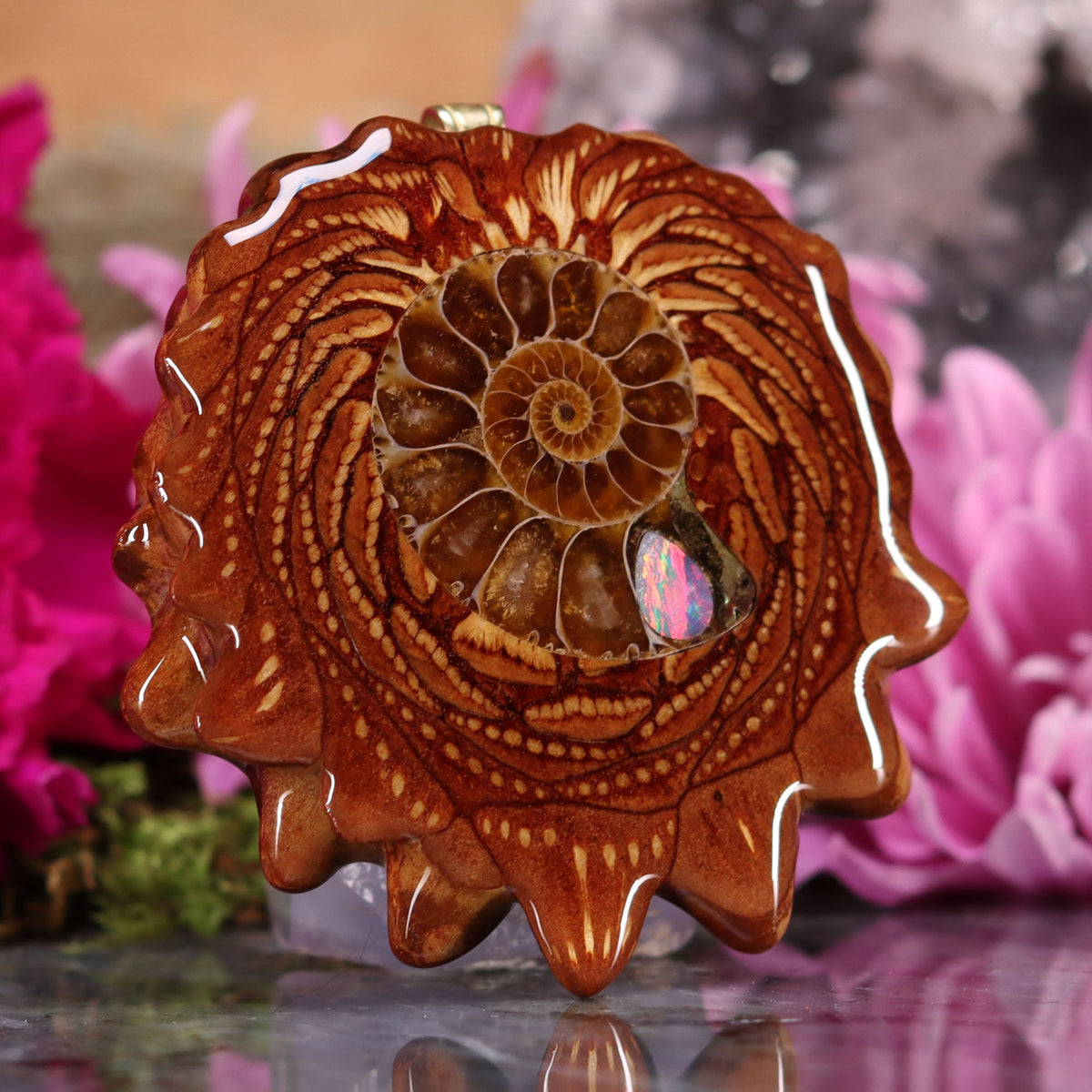 Opal-Inlaid Ammonite – Third Eye Pinecones