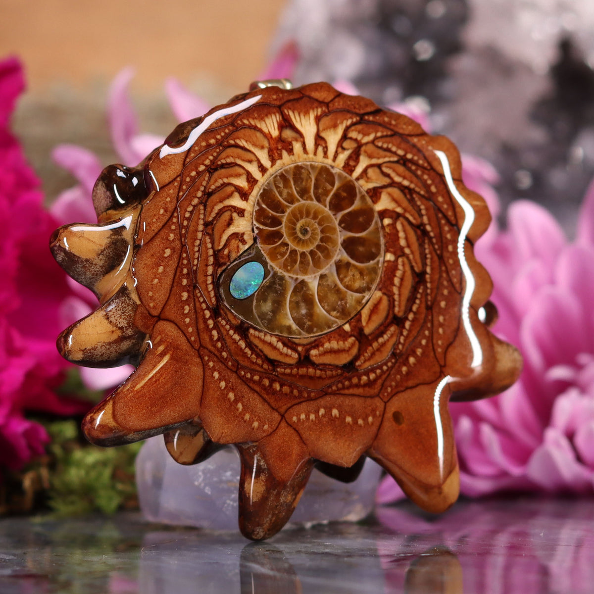 Opal-Inlaid Ammonite – Third Eye Pinecones