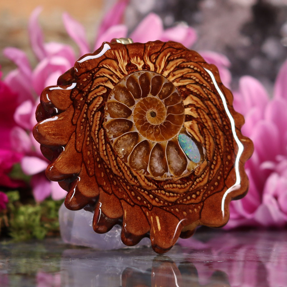 Opal-Inlaid Ammonite – Third Eye Pinecones