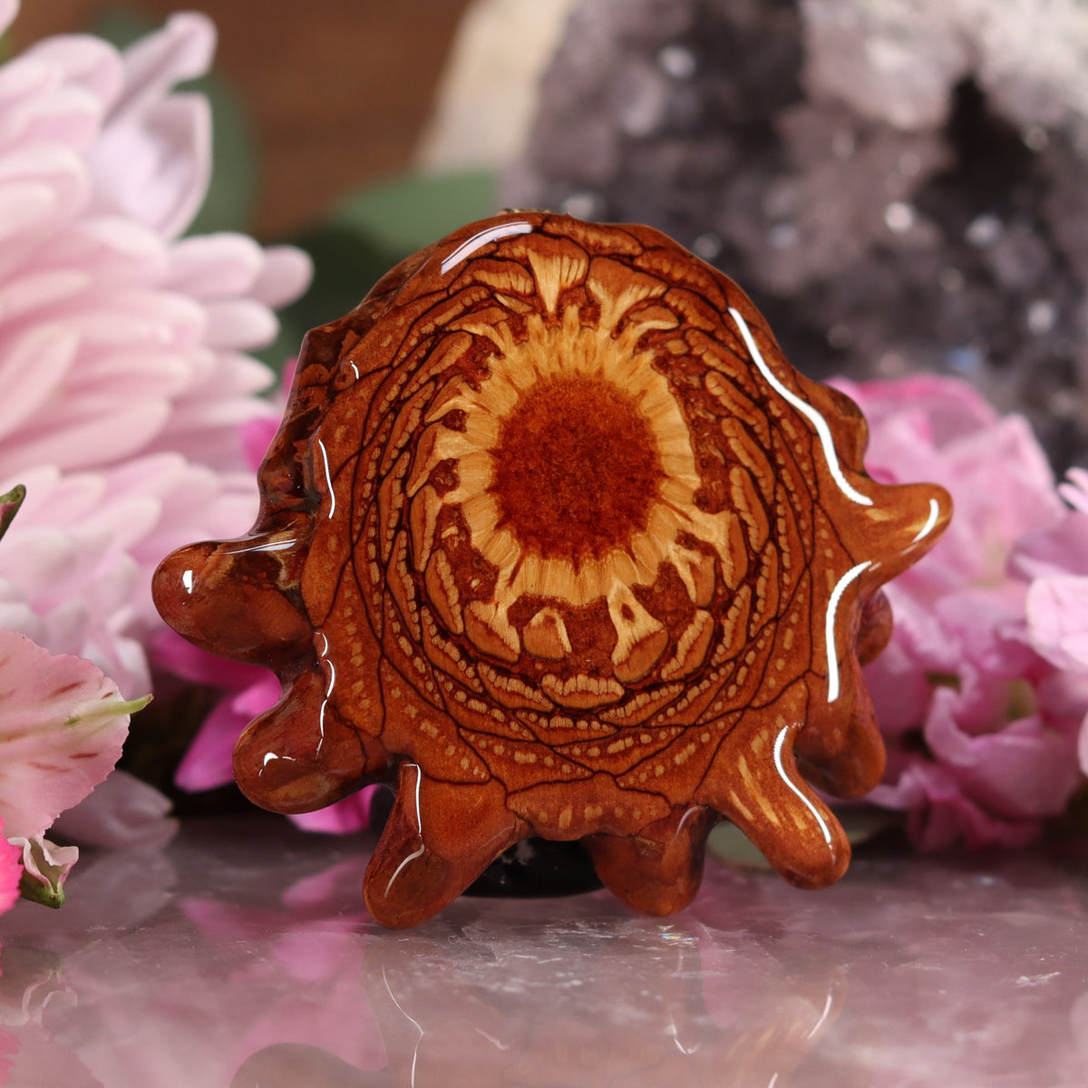Natural – Third Eye Pinecones
