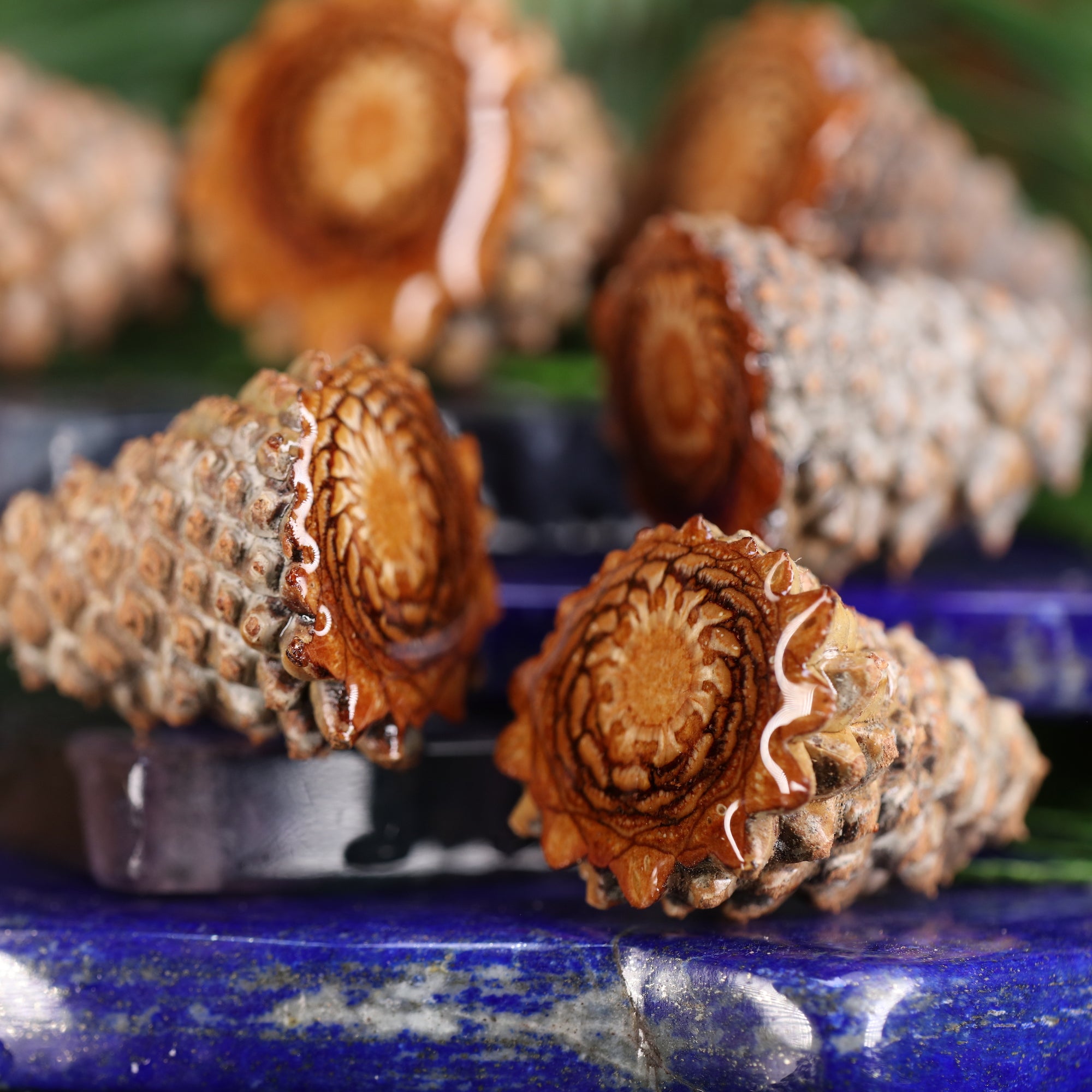 Altar Piece – Third Eye Pinecones