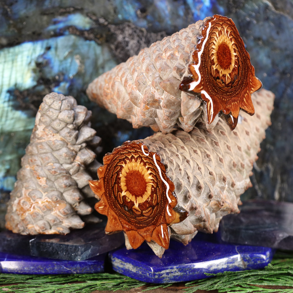 Altar Piece – Third Eye Pinecones